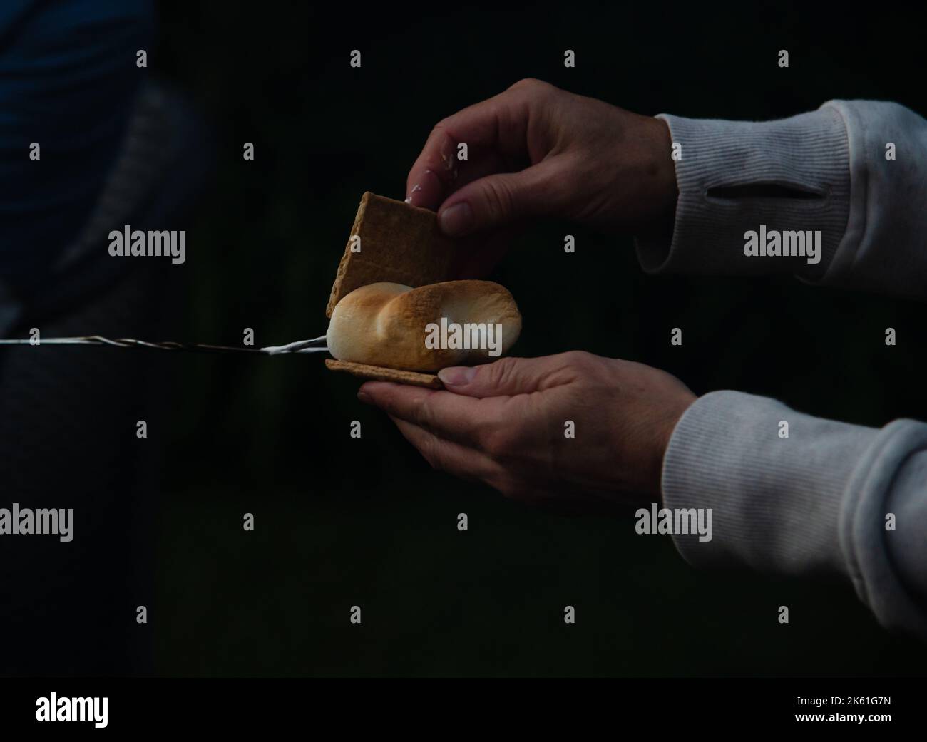Toasted marshmallow being taken off a stick with graham crackers to ...