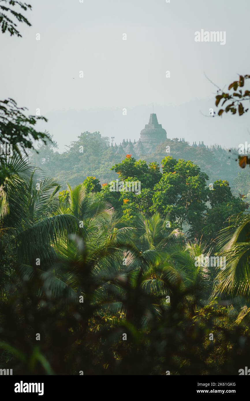 Borobudur Temple from far los in the jungle: Largest Buddhist Monument ...