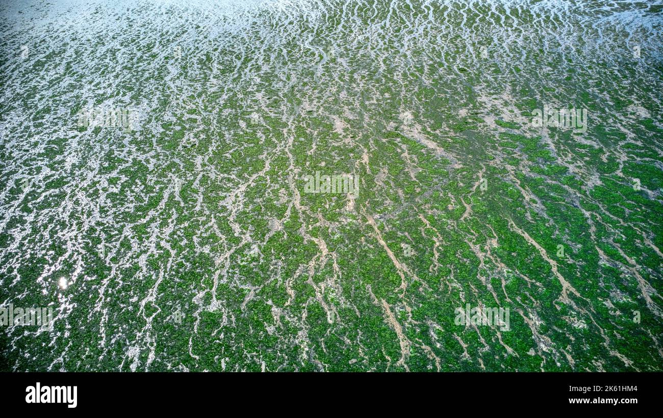 An aerial view of the natural landscape Stock Photo - Alamy