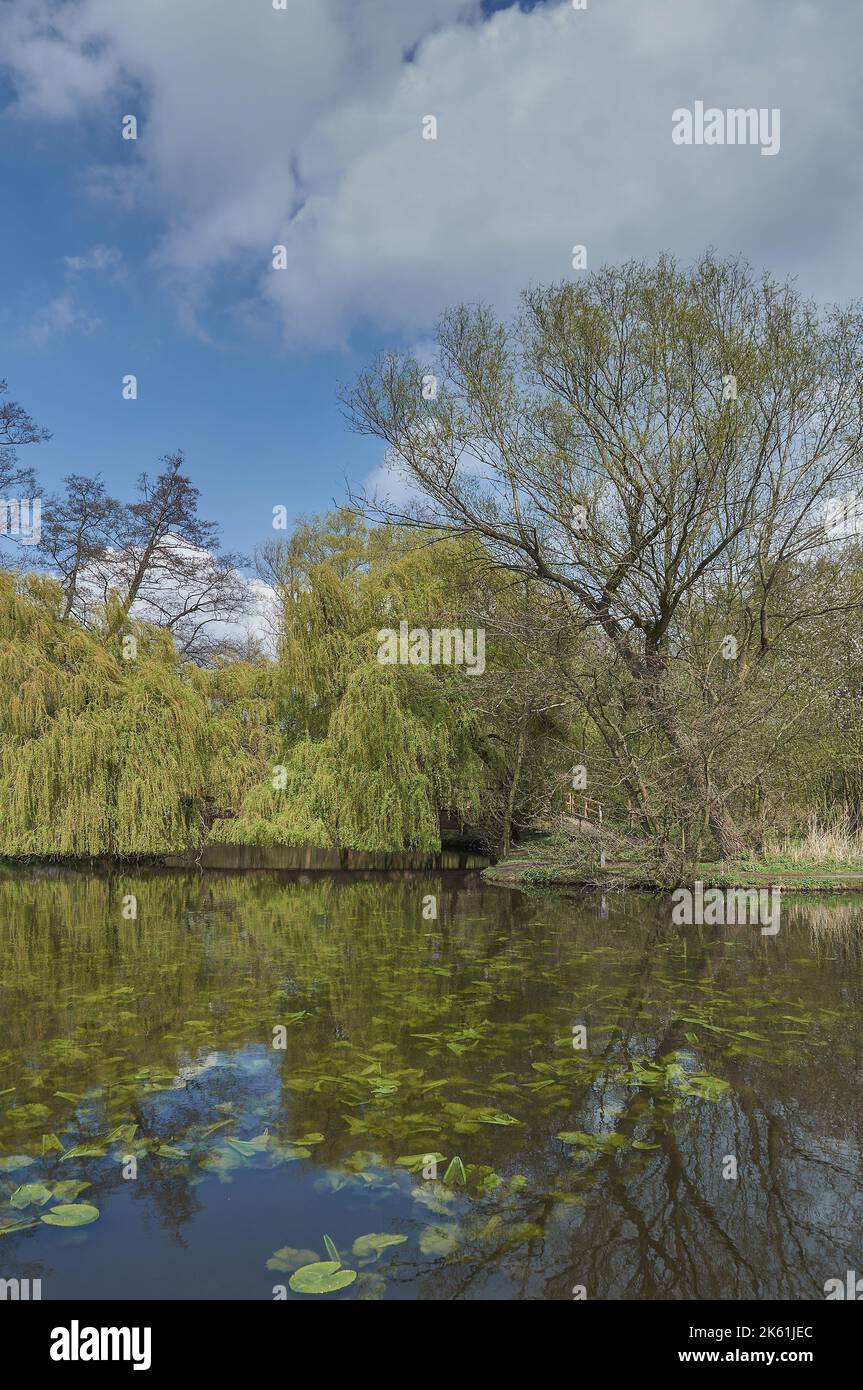 Schwalm nette nature reserve hi-res stock photography and images - Alamy