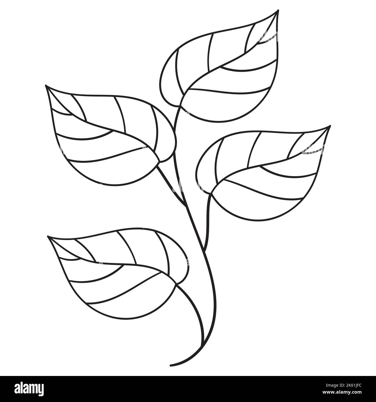 Hand drawn line floral element. Doodle leaf elements Stock Vector Image ...