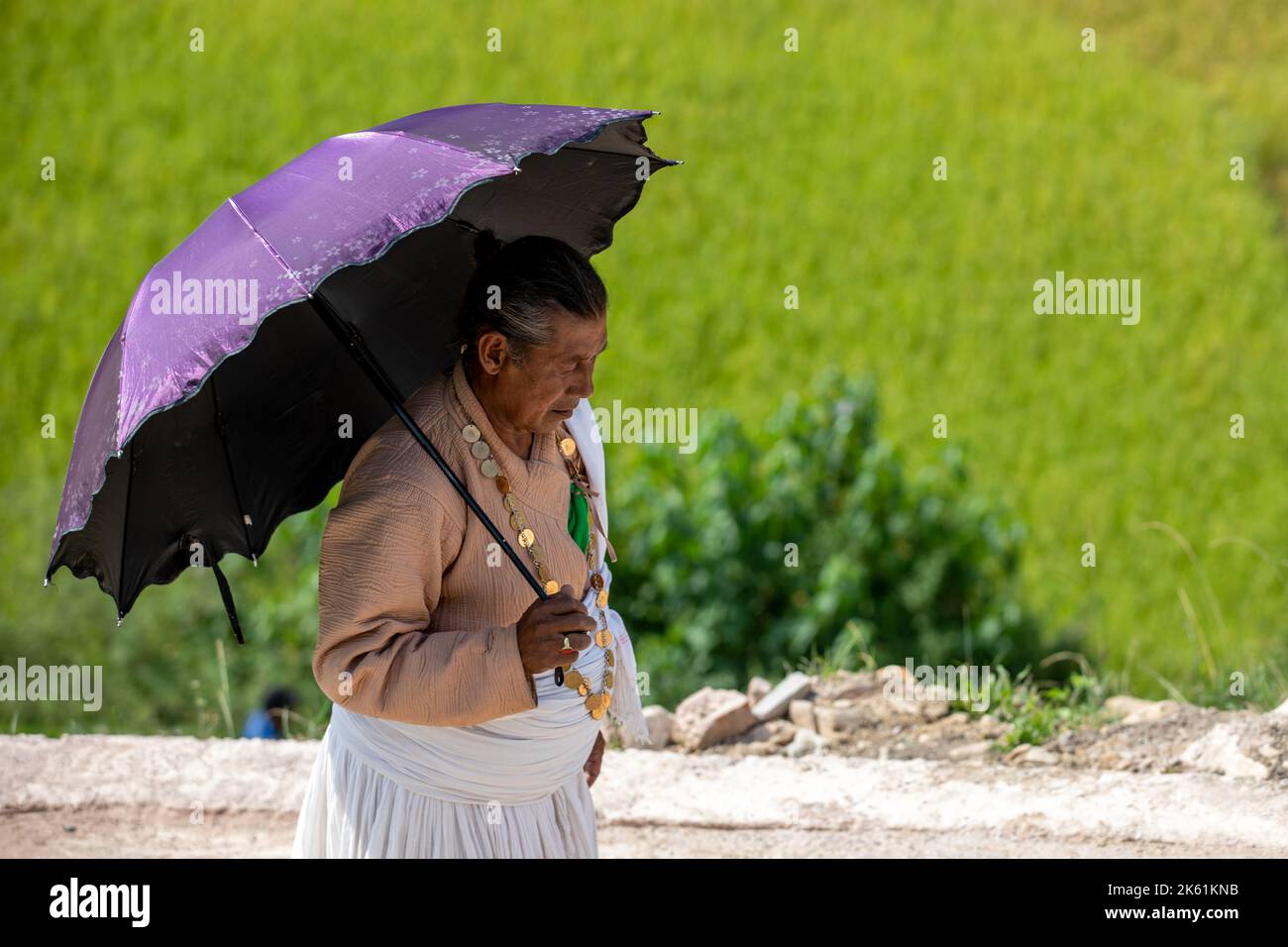Nepalese people celebrates Shikali Festival Stock Photo - Alamy