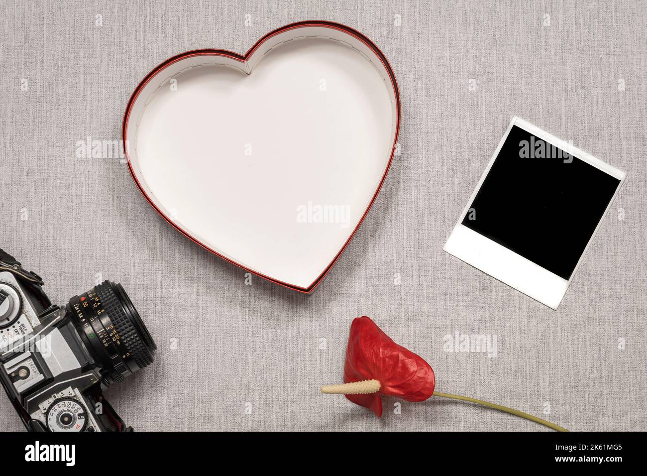 Heart model with empty space for logos, advertising inscription ...