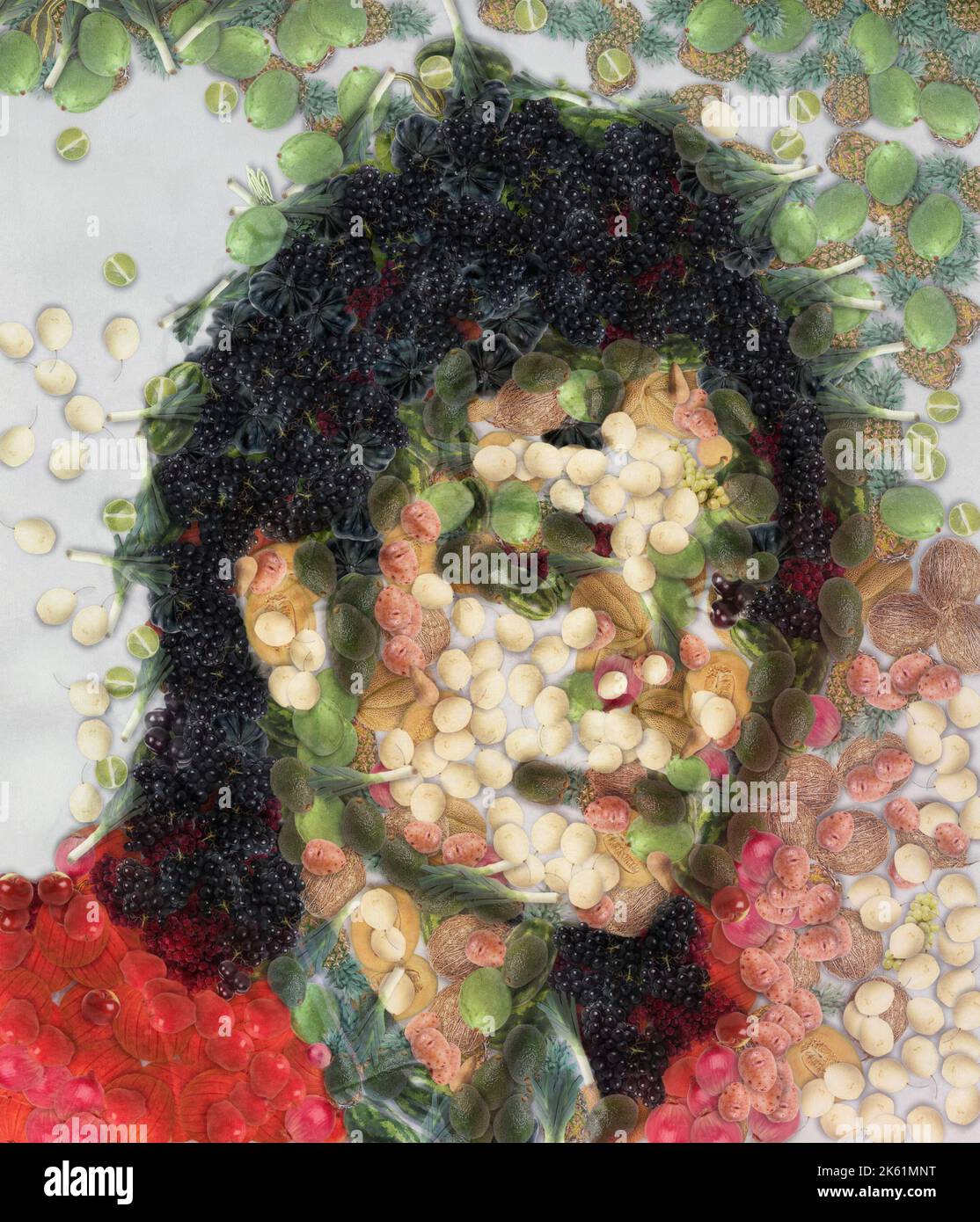 Illustrations portret hi-res stock photography and images - Alamy