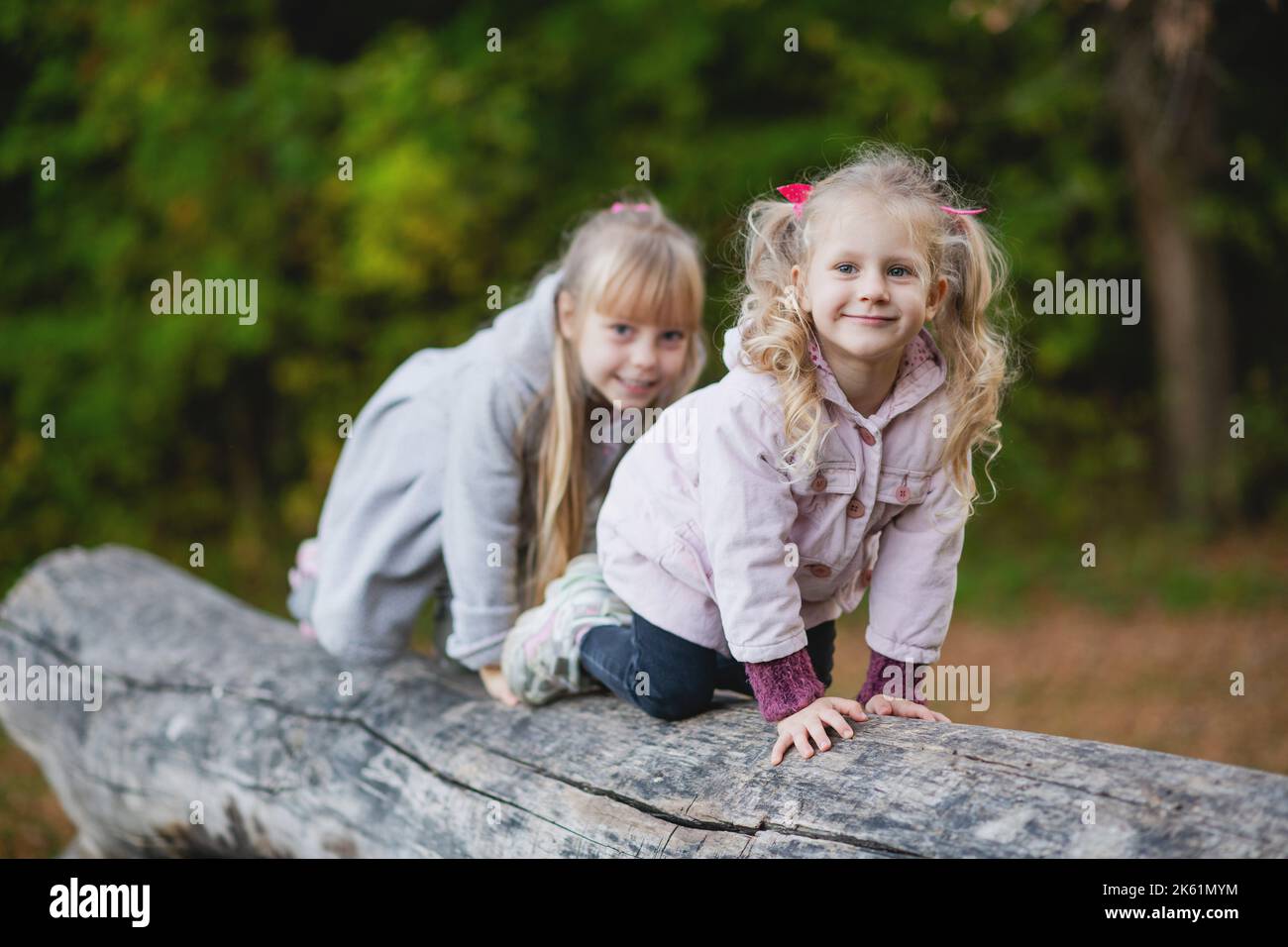 Two cute children on all fours climb, balance on a fallen log in an ...