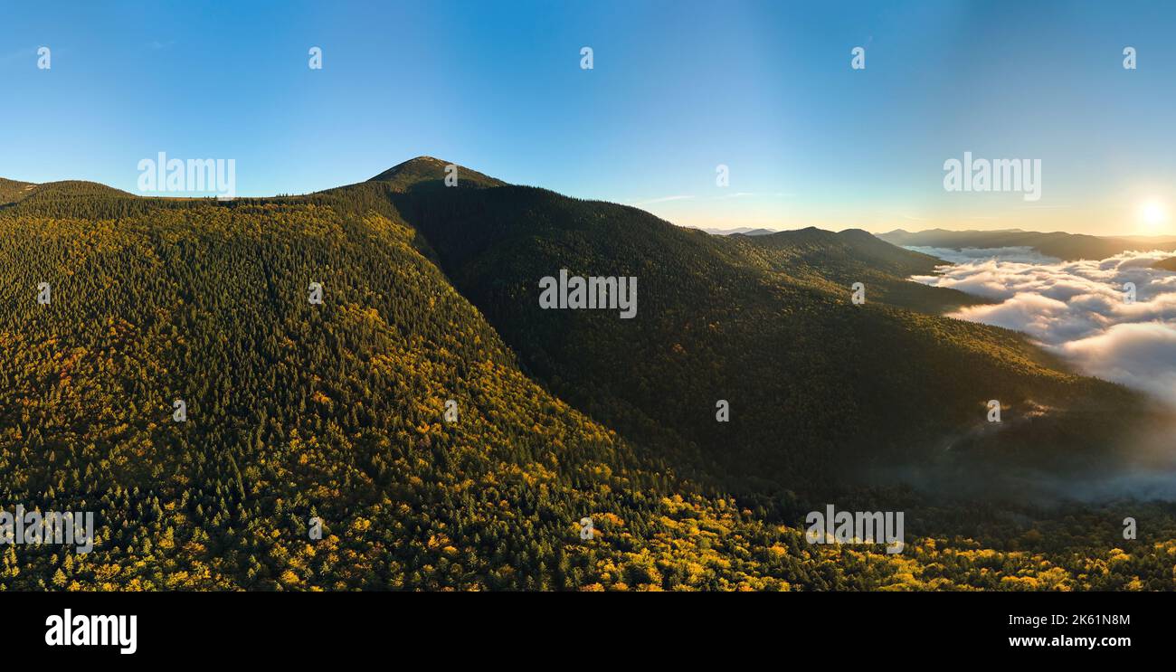 High hills with dark pine woods on autumn bright day. Amazing scenery ...
