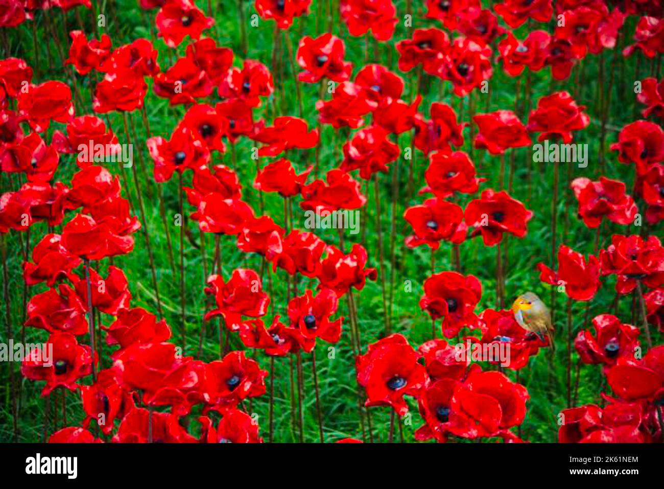 We Will Remember them Stock Photo - Alamy