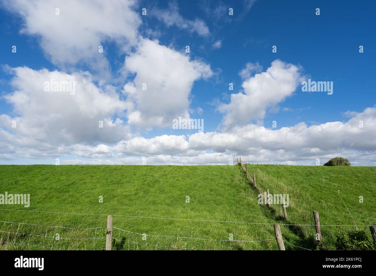 Dutch dike with green graas, blue sky and white clouds and a fence ...