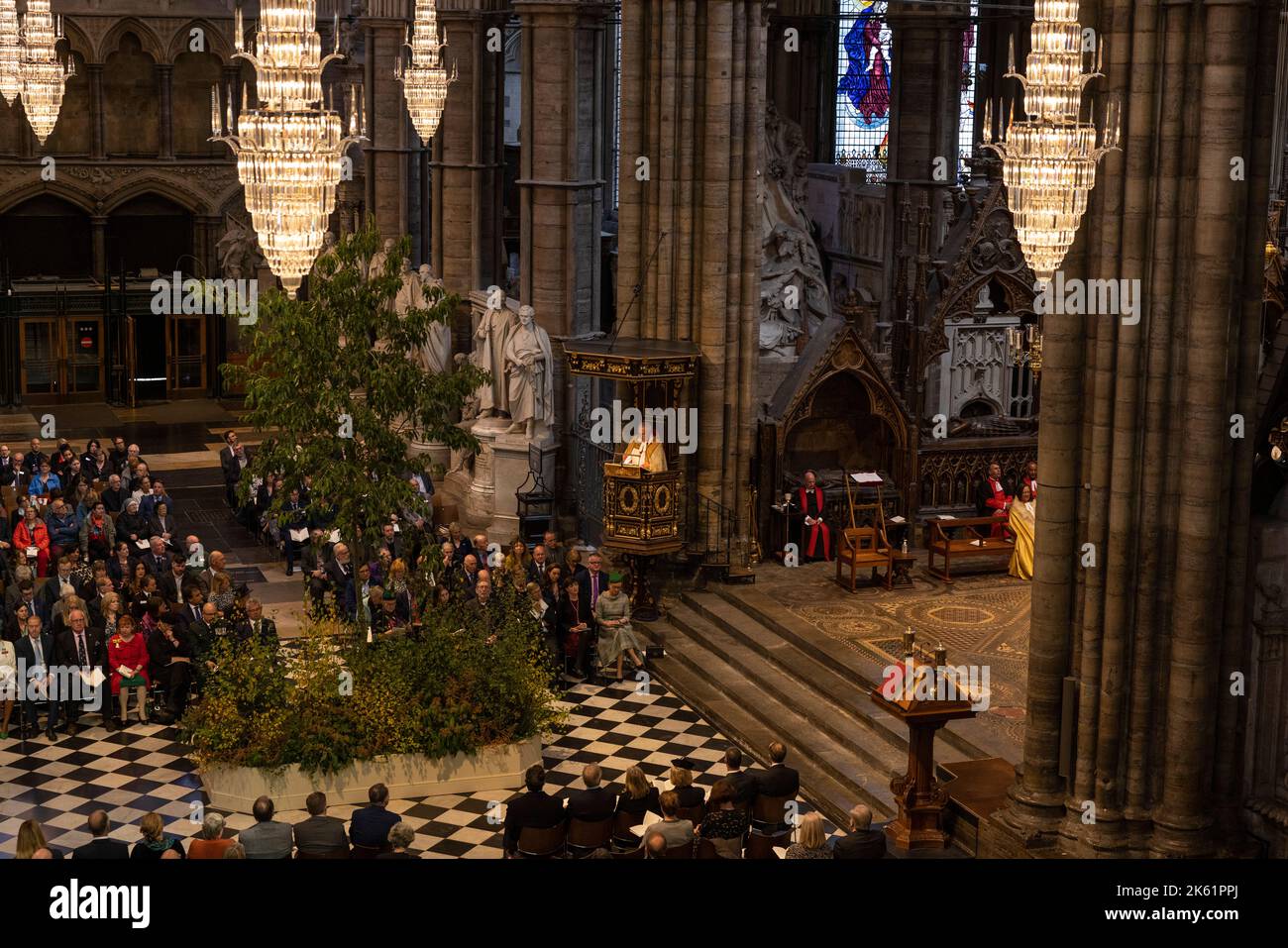 The Very Reverend Dr David Hoyle MBE leads a 'Trees For Life' Covid-19 ...