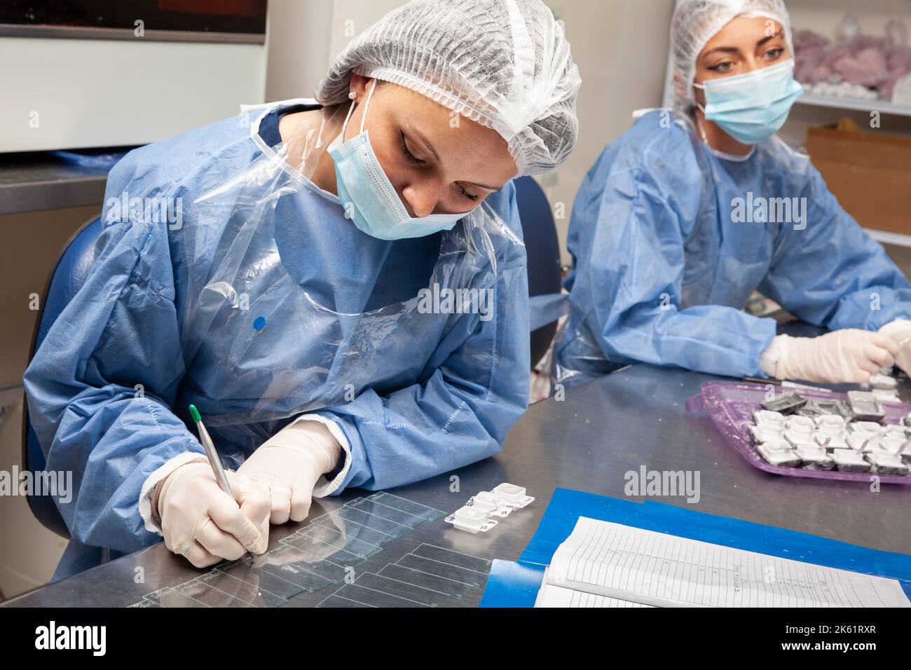 Scientist preparing paraffin blocks containing biopsy tissue for ...