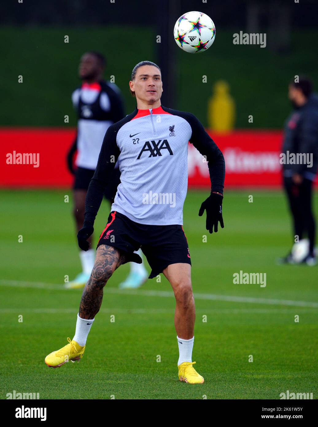 Liverpool's Darwin Nunez during a training session at the AXA Training ...