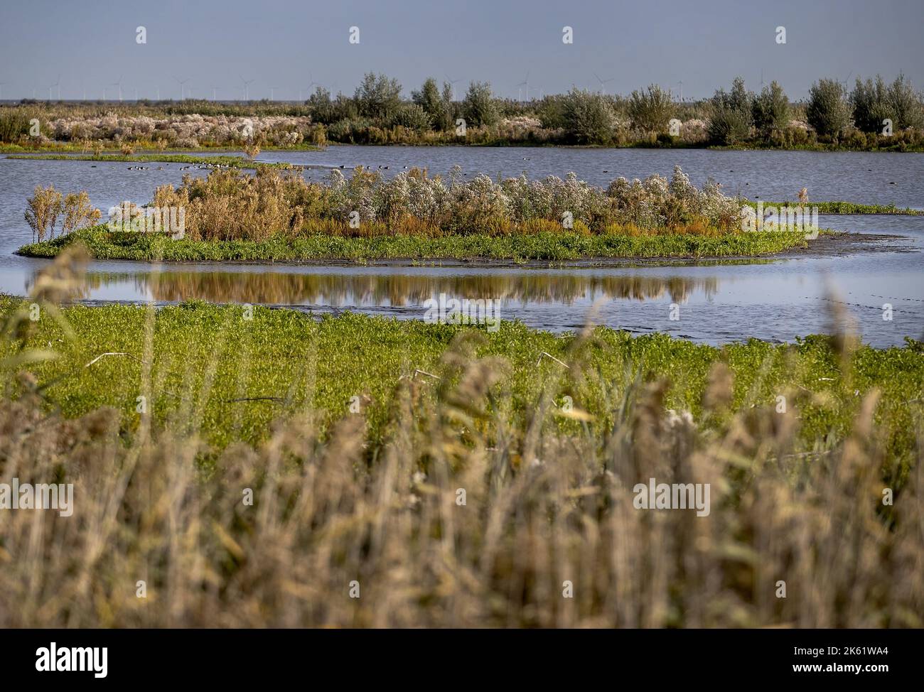 2022-10-11 11:07:29 MARKERMEER - The Marker Wadden during a press ...