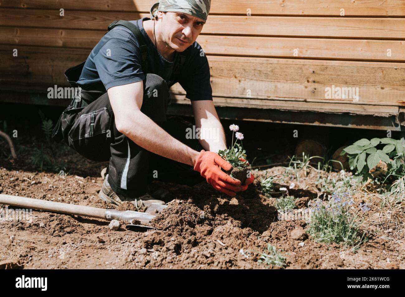 young mature man gardener and farmer 40+ years old with male hands in ...