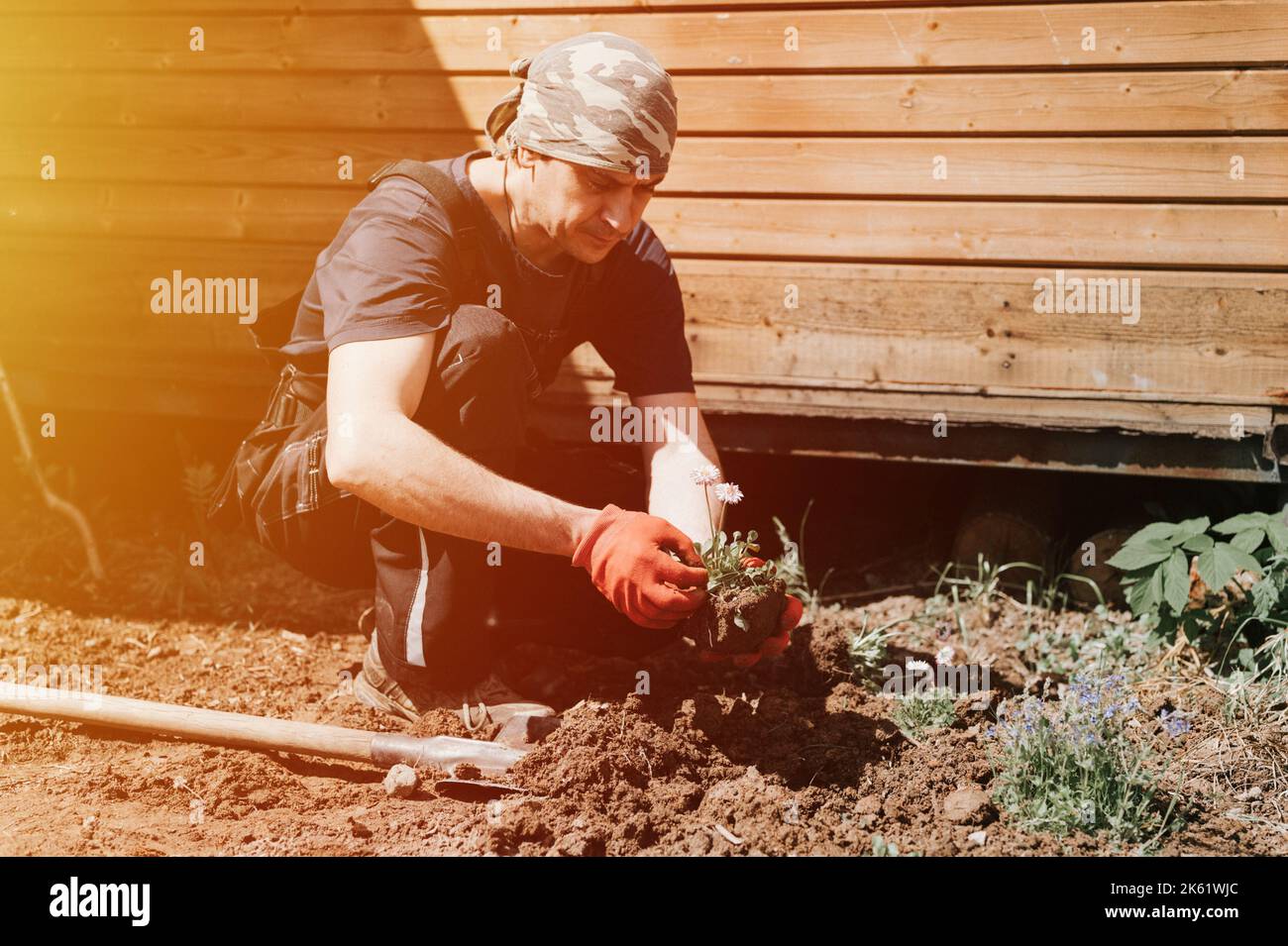 young mature man gardener and farmer 40+ years old with male hands in ...
