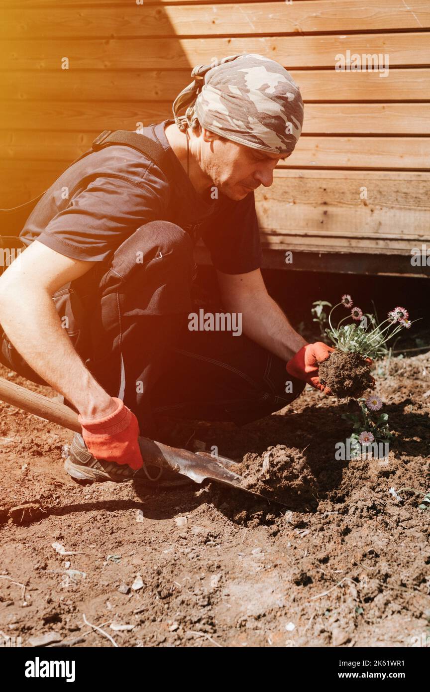 young mature man gardener and farmer 40+ years old with male hands in ...