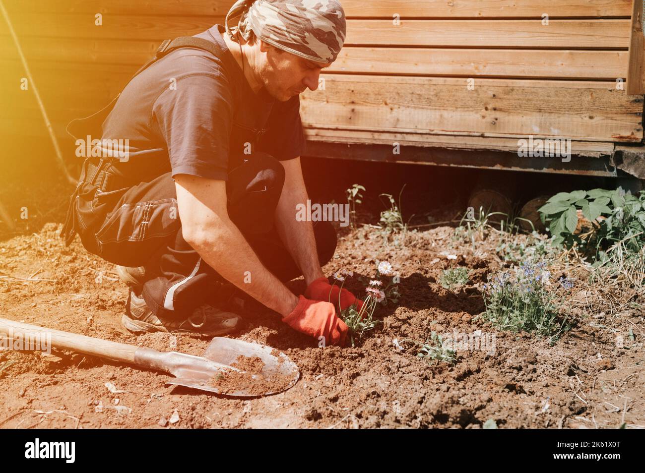 young mature man gardener and farmer 40+ years old with male hands in ...