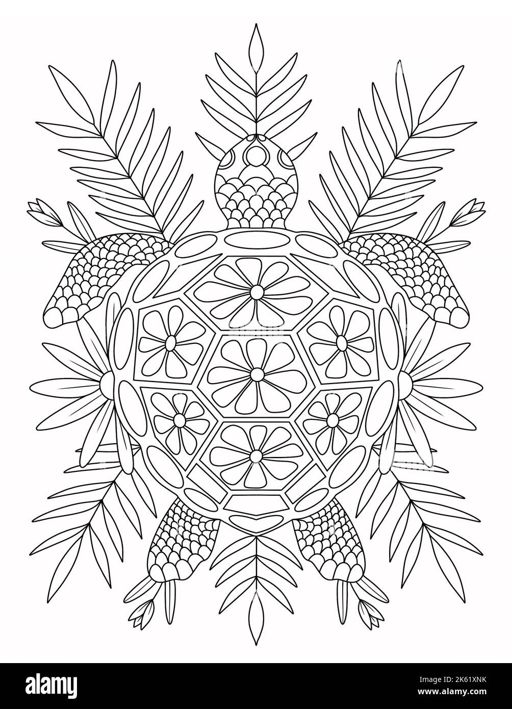 Summer coloring page hi-res stock photography and images - Alamy