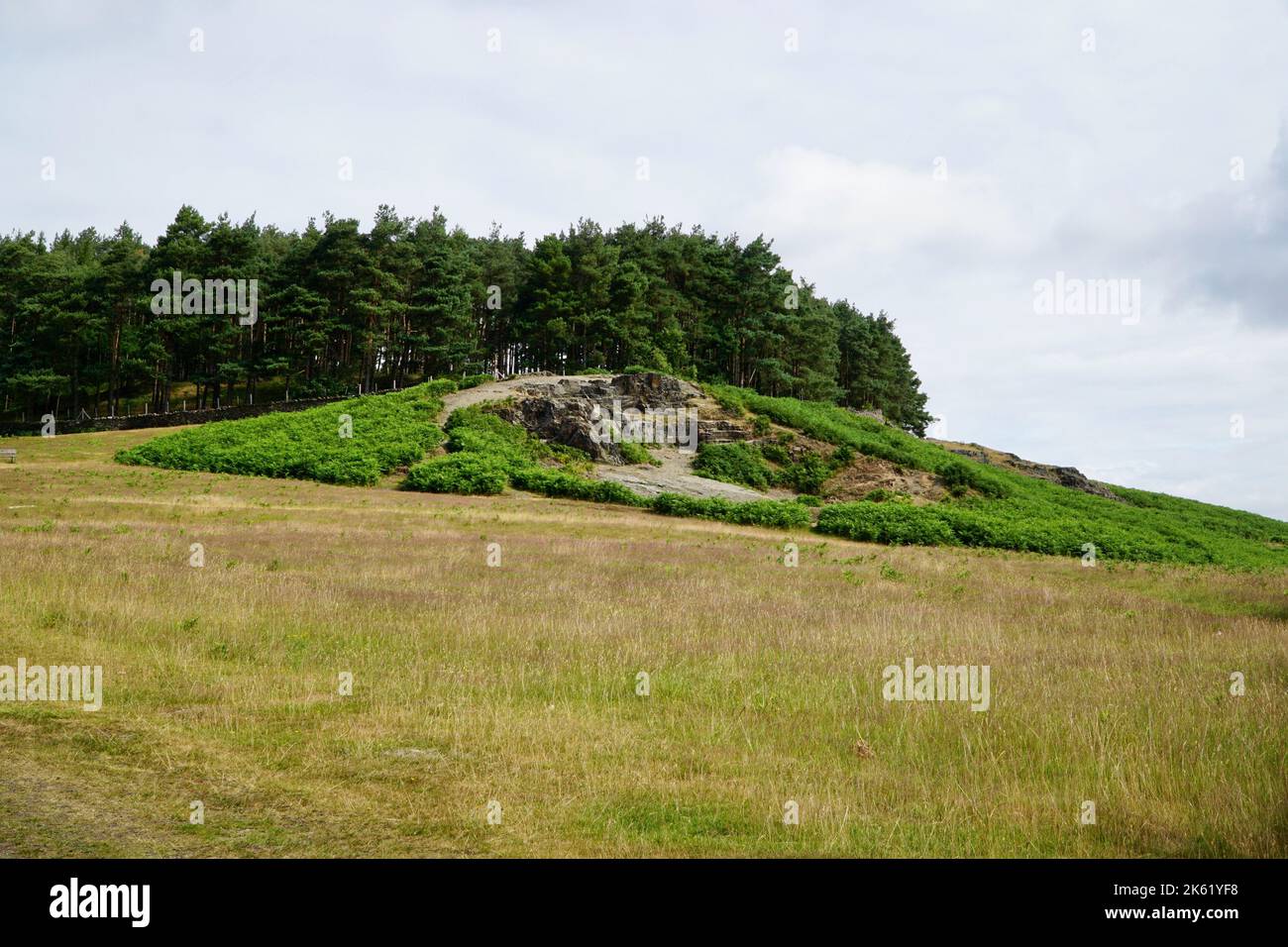 A beautiful landscape of the Bradgate Park, Leicester Stock Photo - Alamy