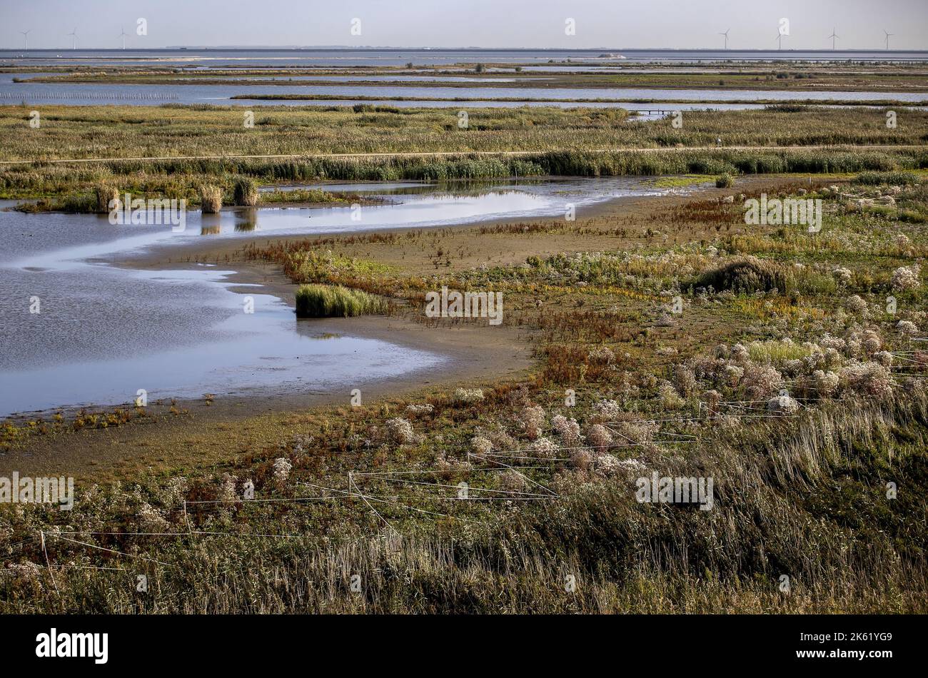 2022-10-11 10:49:14 MARKERMEER - The Marker Wadden during a press ...
