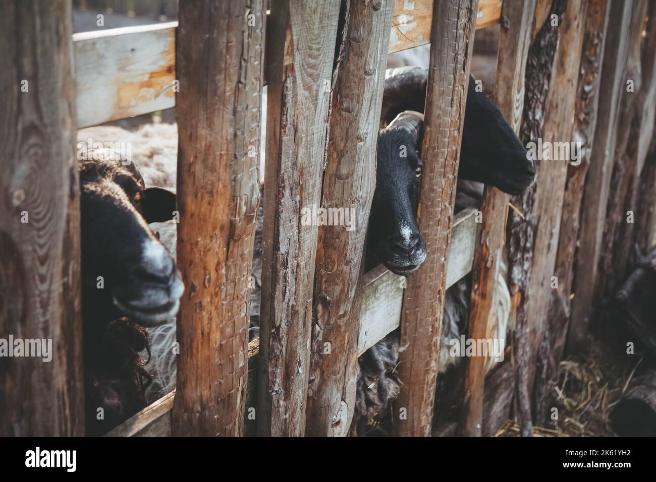 Household farming hi-res stock photography and images - Alamy