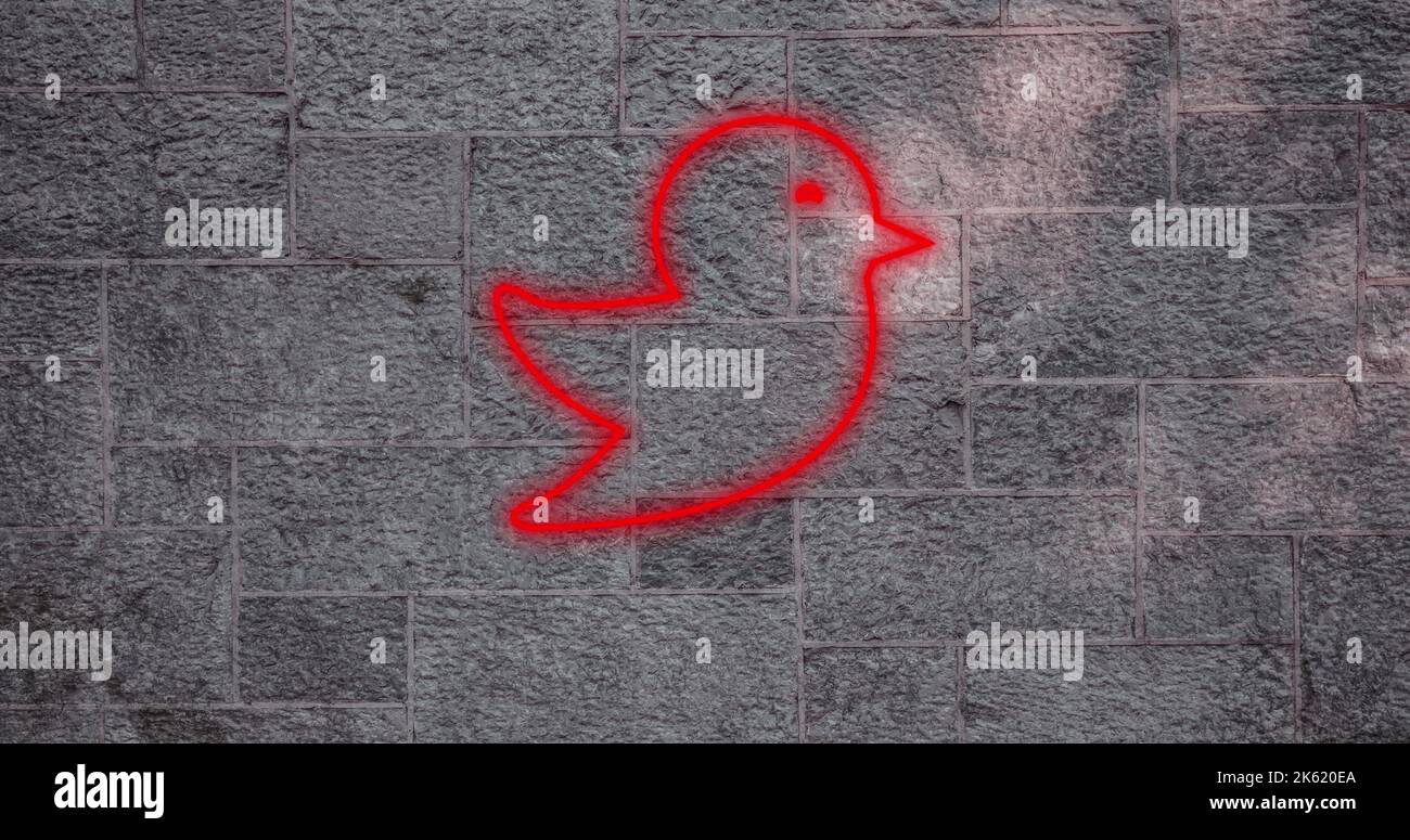 Composite of digital red bird icon against gray wall, copy space Stock ...