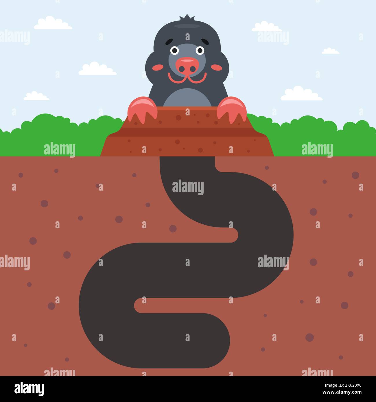 Baby mole rat Stock Vector Images - Alamy