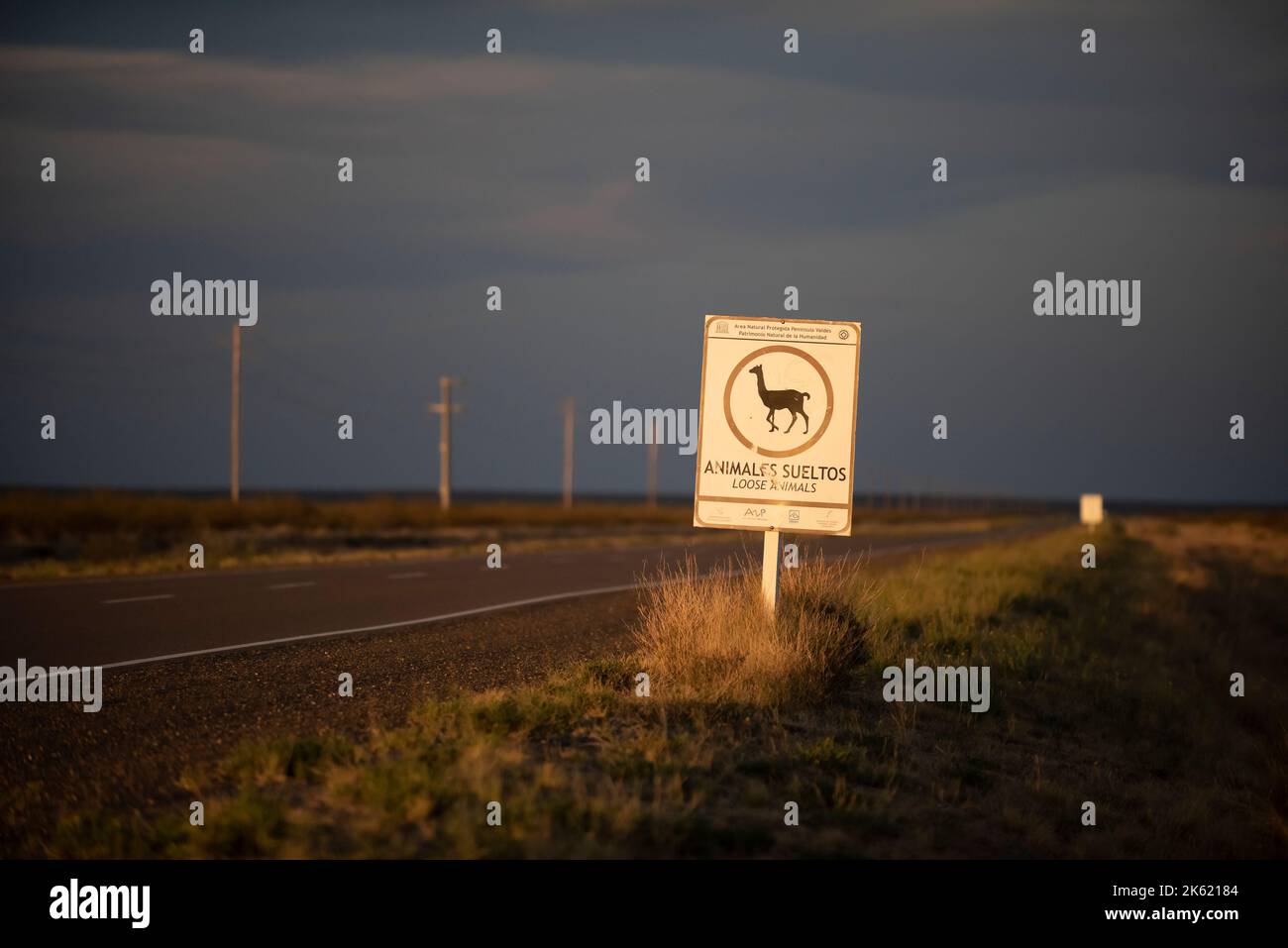 Animal crossing warning sign, Route in the Pampas plain, Patagonia ...