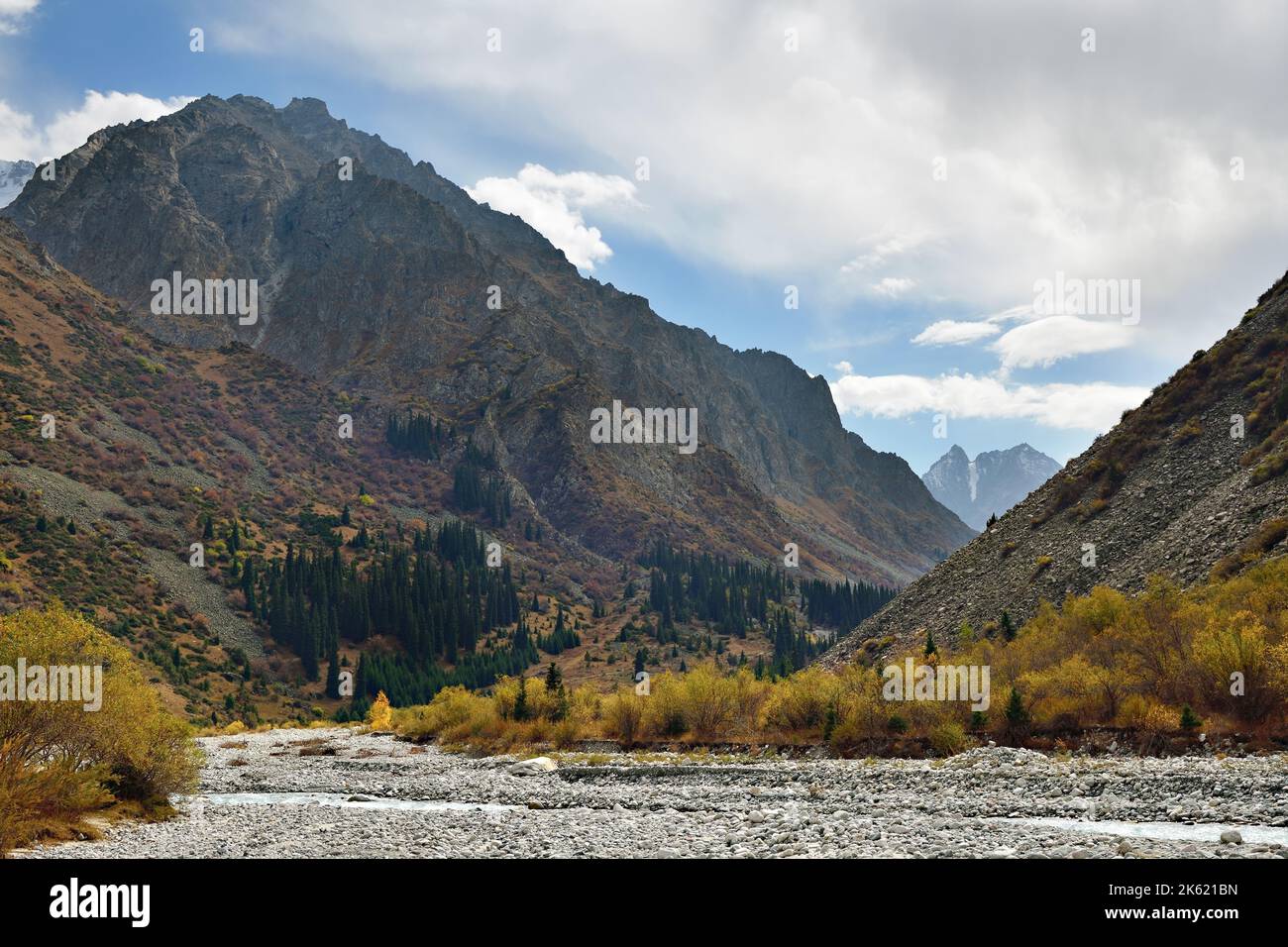 Ak Sai valley autumn landscape. River, stone run, Tian Shan fir trees ...