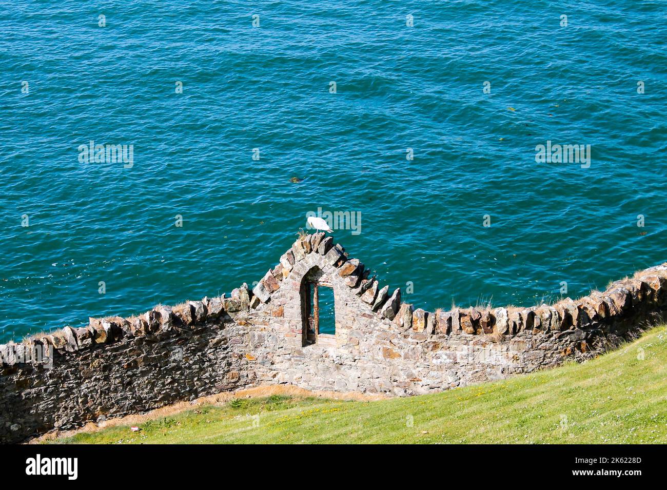An aerial view of a bird perched on the fort neat a sea Stock Photo - Alamy