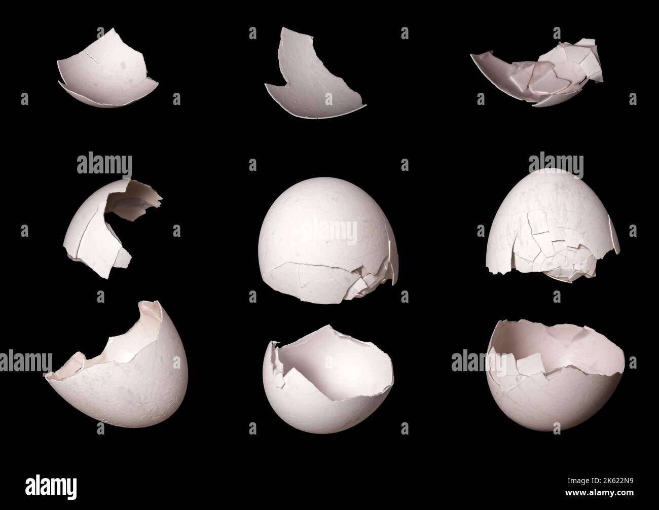 white eggshell isolated on black background. High quality photo Stock ...