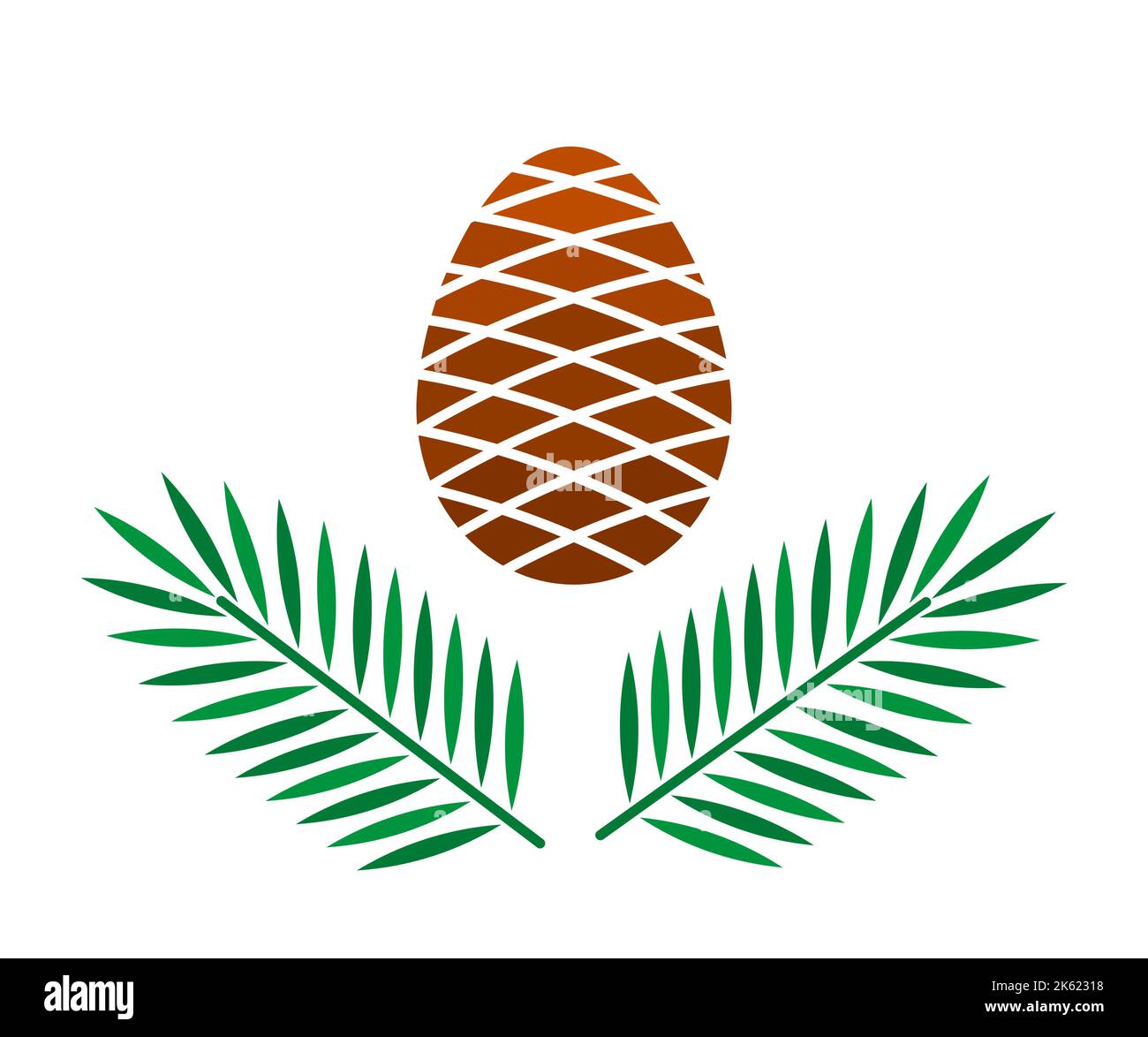 White spruce seed Stock Vector Images - Alamy