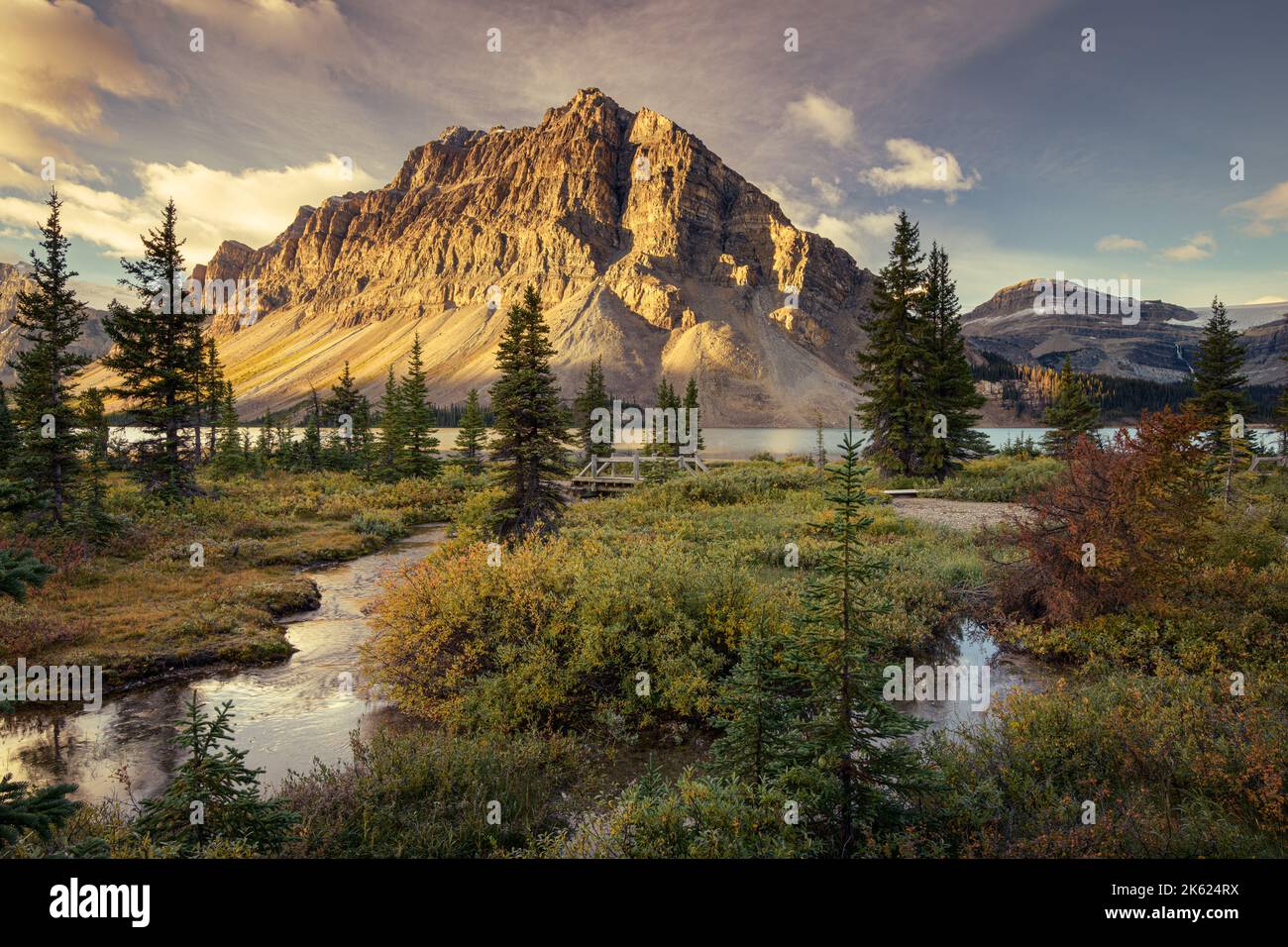 Mountain and Pine Trees at Bow Lake, Canadian Rockies, Alberta Stock ...
