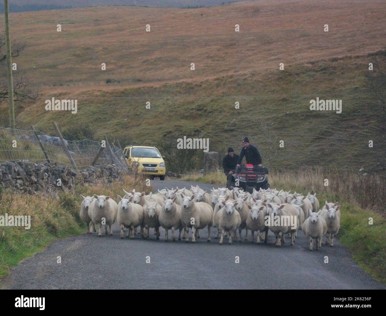 Shepherd with a quad bike hi-res stock photography and images - Alamy