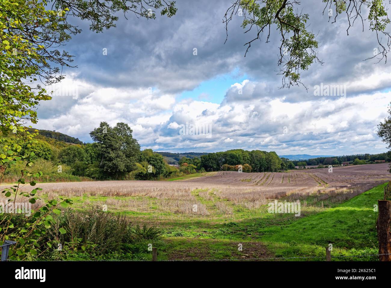 The countryside at Abinger Roughs in the Surrey Hills on an autumn day ...
