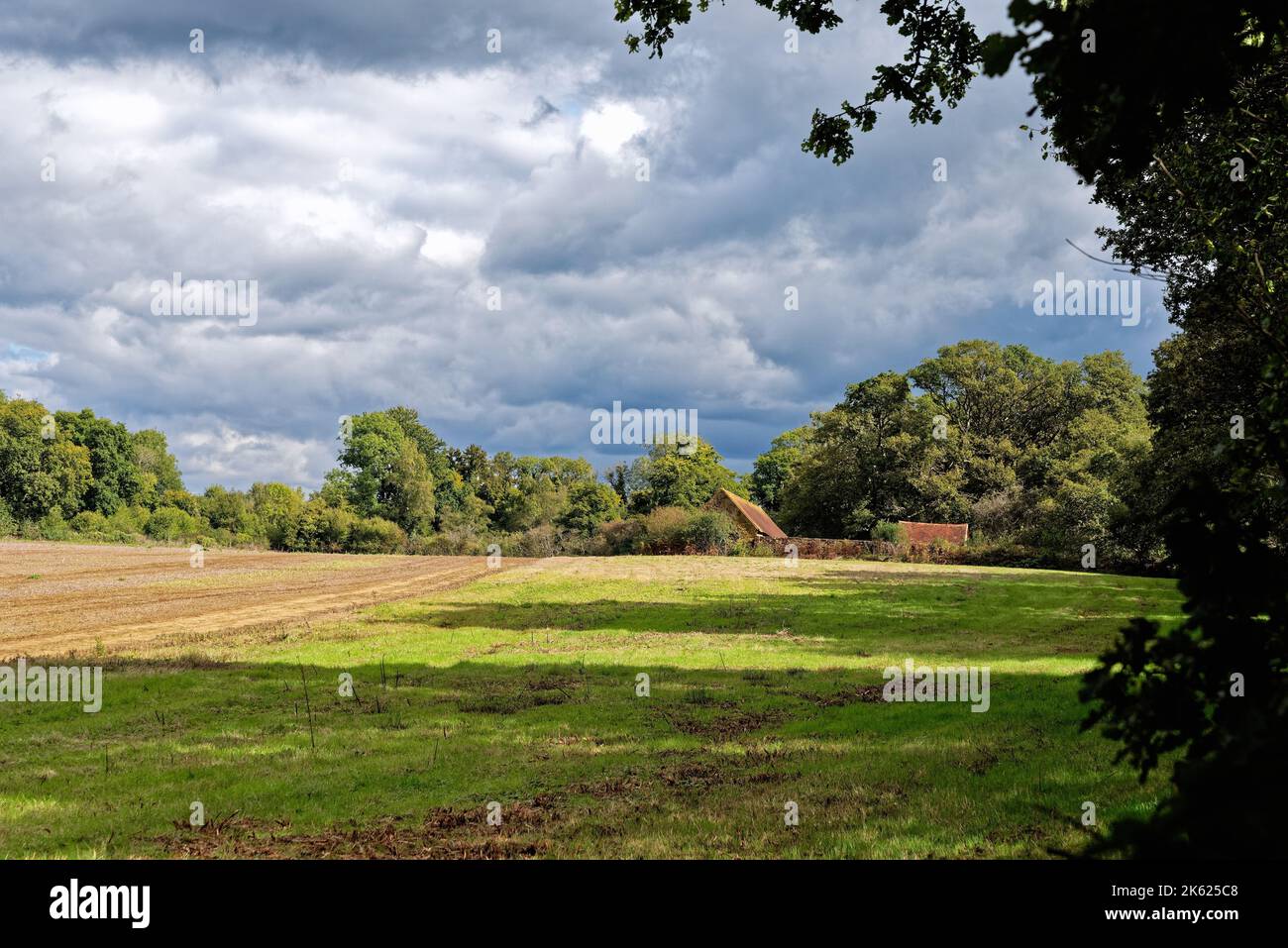 The countryside at Abinger Roughs in the Surrey Hills on an autumn day ...