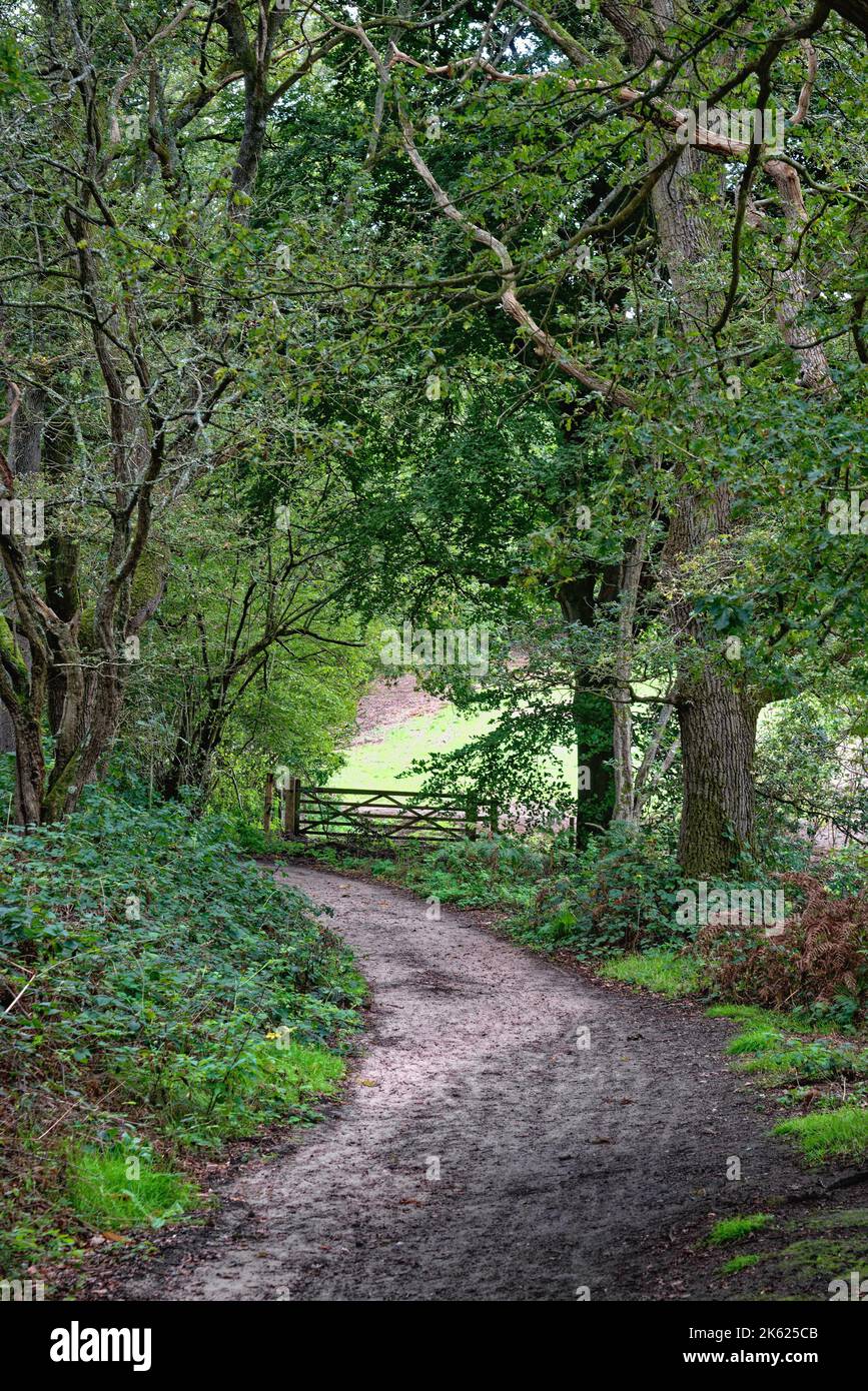 The countryside at Abinger Roughs in the Surrey Hills on an early ...