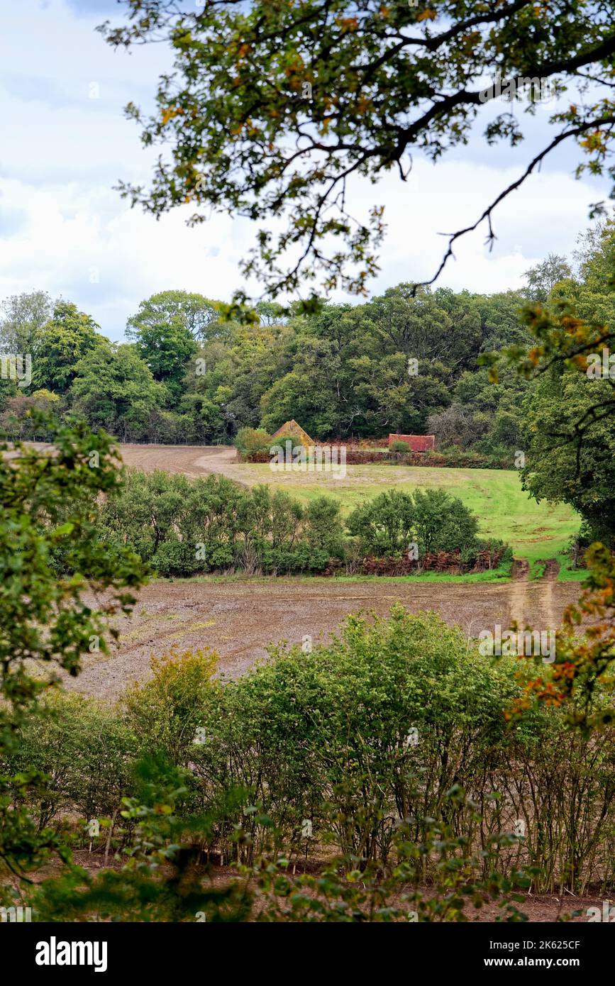The countryside at Abinger Roughs in the Surrey Hills on an autumn day ...