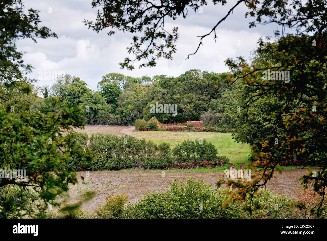 The countryside at Abinger Roughs in the Surrey Hills on an autumn day ...