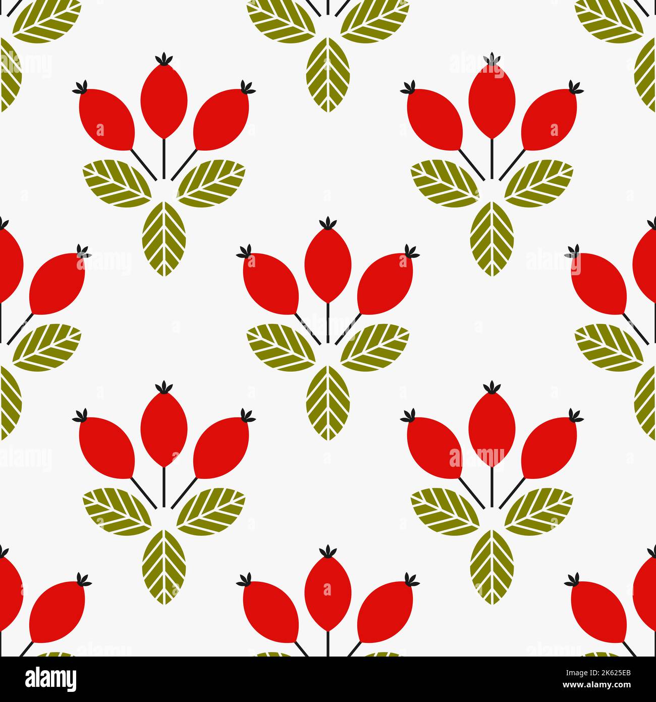 Wild rosehip fruits seamless pattern. Autumn rose hip background ...