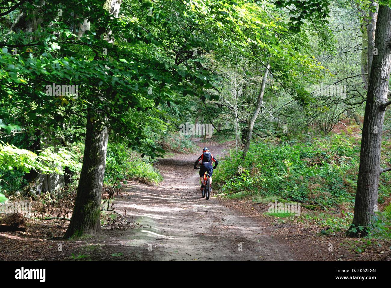 A rear view of a young male sports cyclist riding on a track in the ...