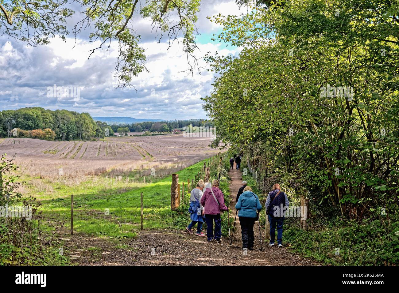 A group of elderly senior citizens walking along a public footpath in ...