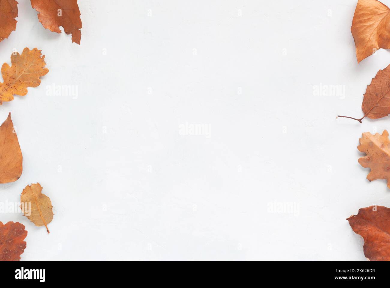 autumn background with dry leaves in a frame form, copyspace Stock ...