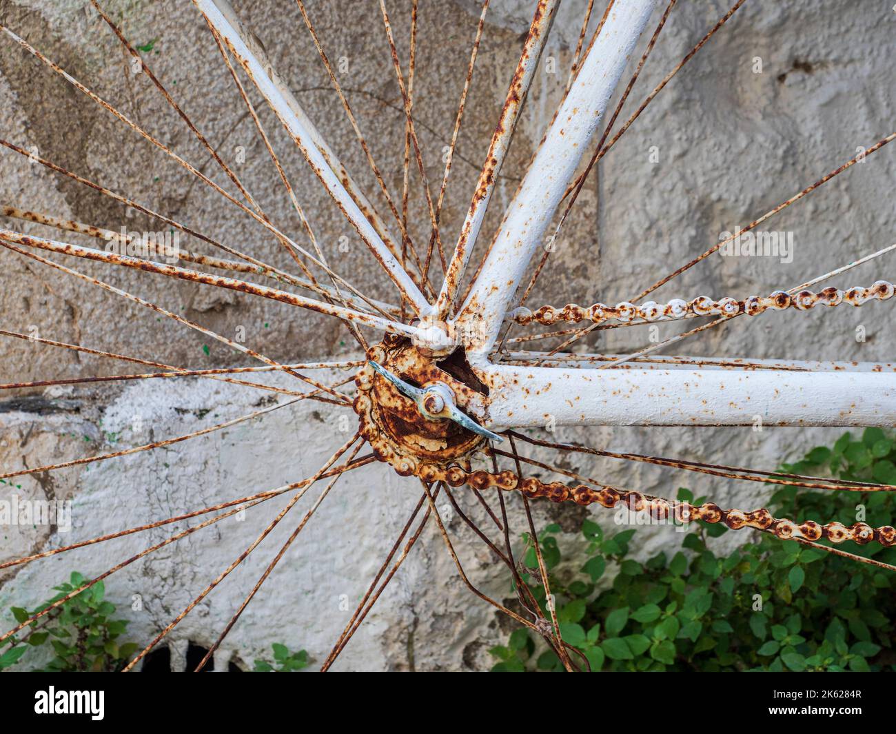 Human powered vehicle hi-res stock photography and images - Alamy