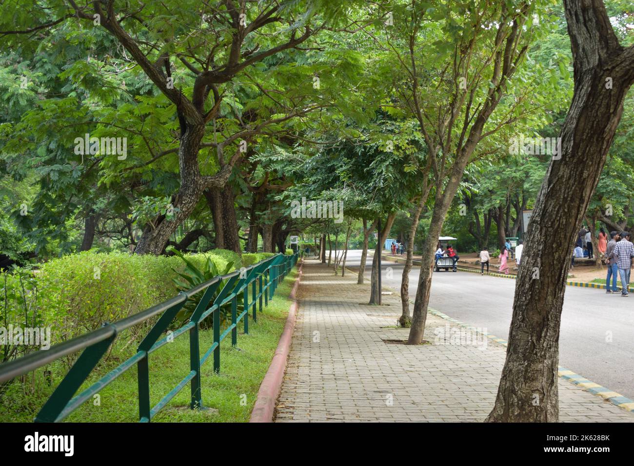 Foot Path in Zoological Park Stock Photograph Image Stock Photo - Alamy