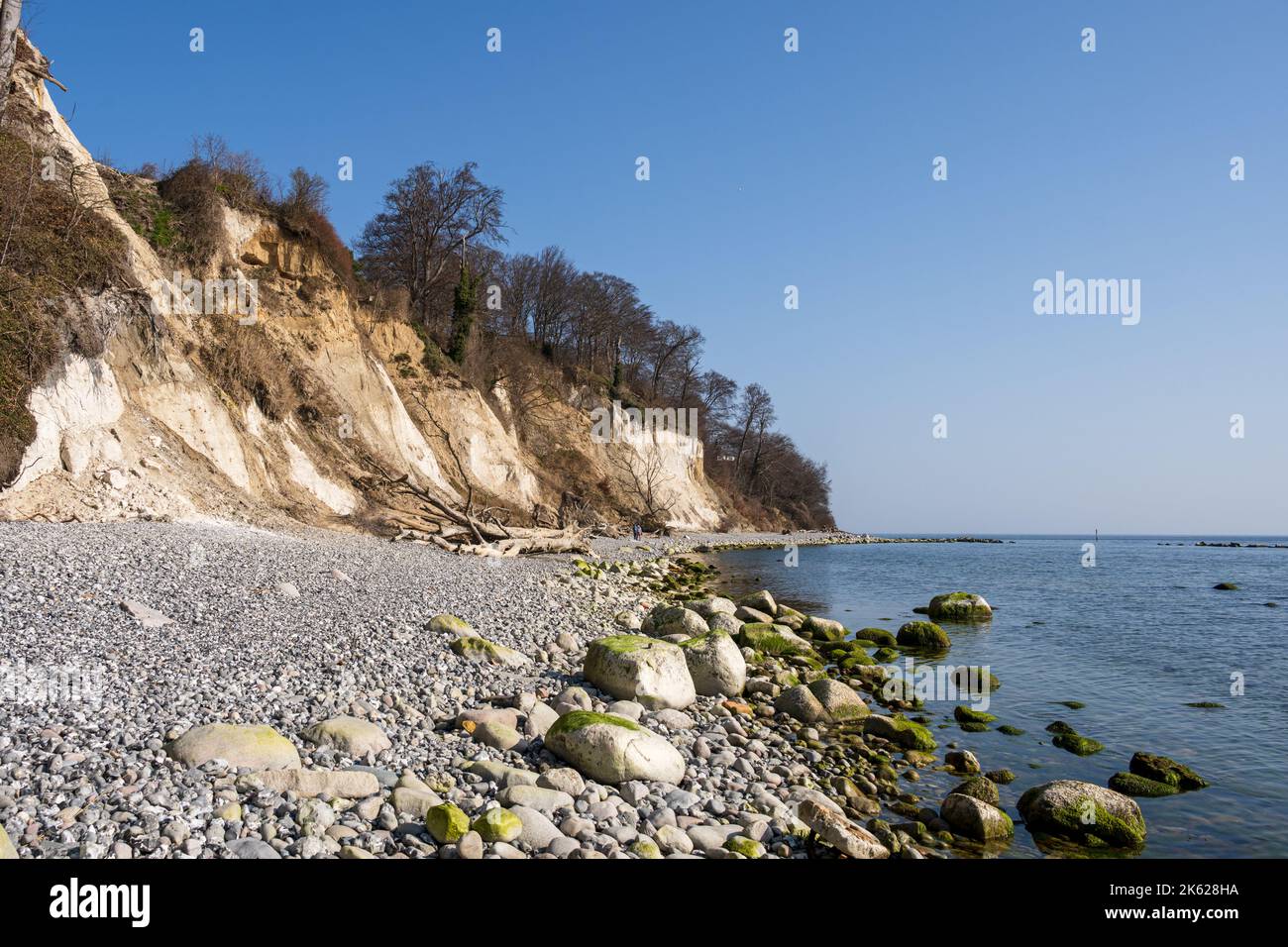 Ostseeinsel Rügen Kreidefelsen an dem Wanderweg bei Sassnitz an einem ...