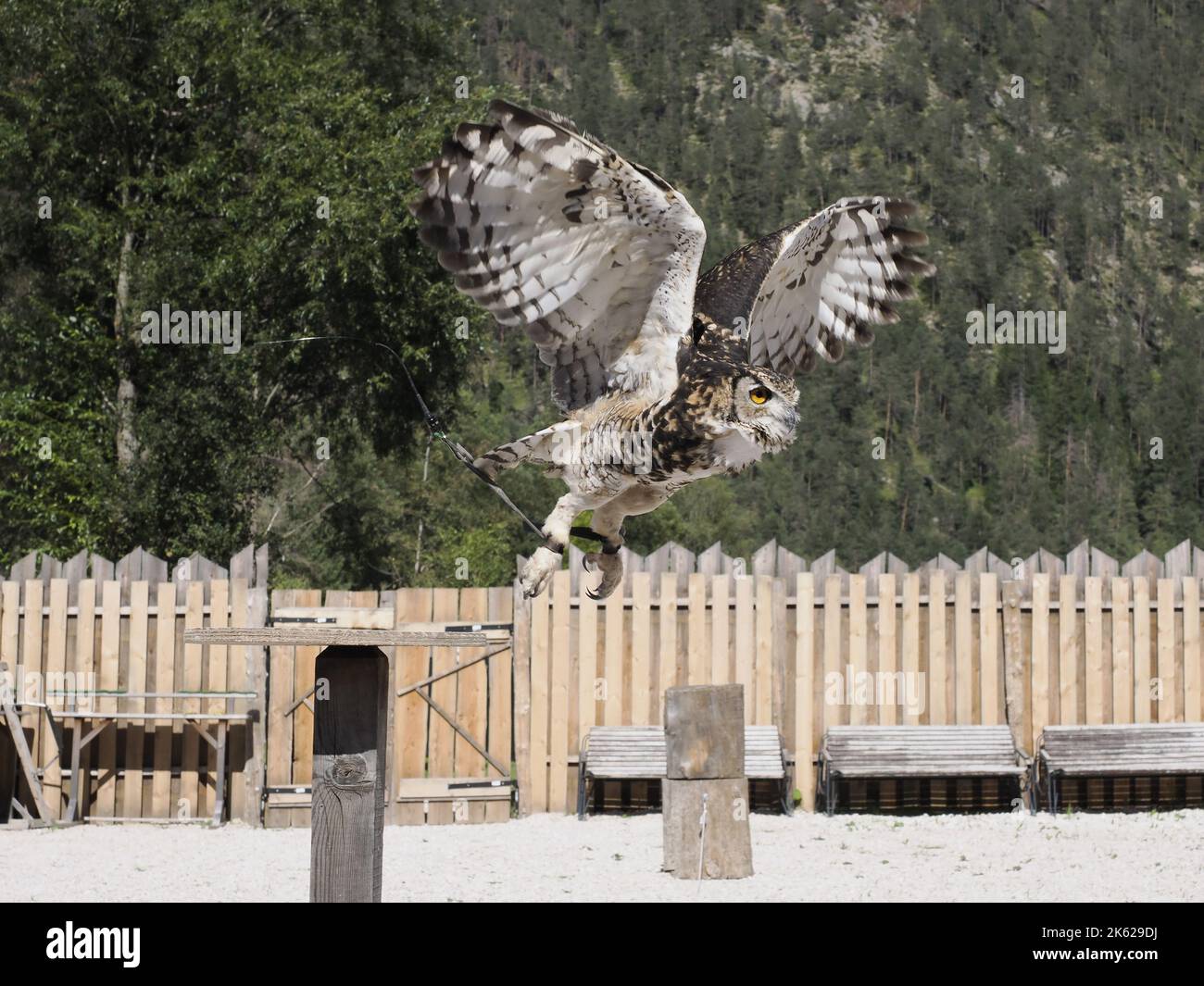 Training camp desert hi-res stock photography and images - Alamy