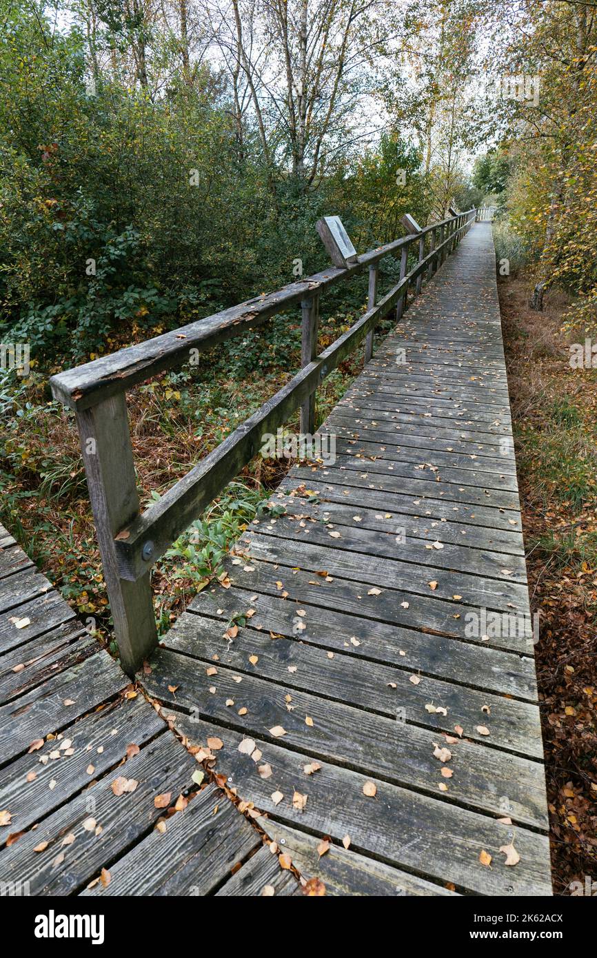 Wooden paths with information boards in the otter biotope Lunestedt ...