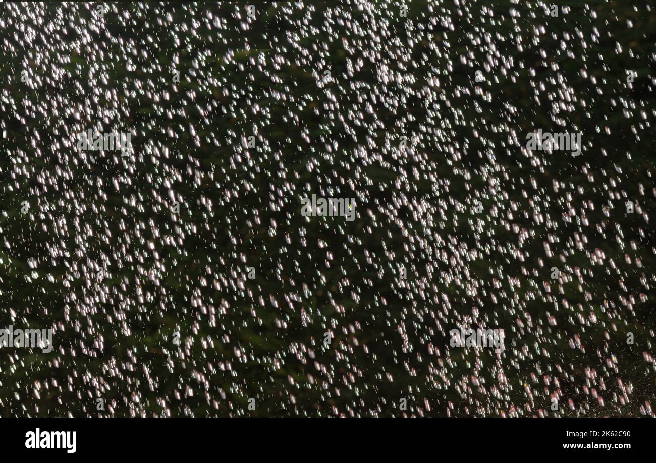 Rain drops falling with blurred movement Stock Photo - Alamy