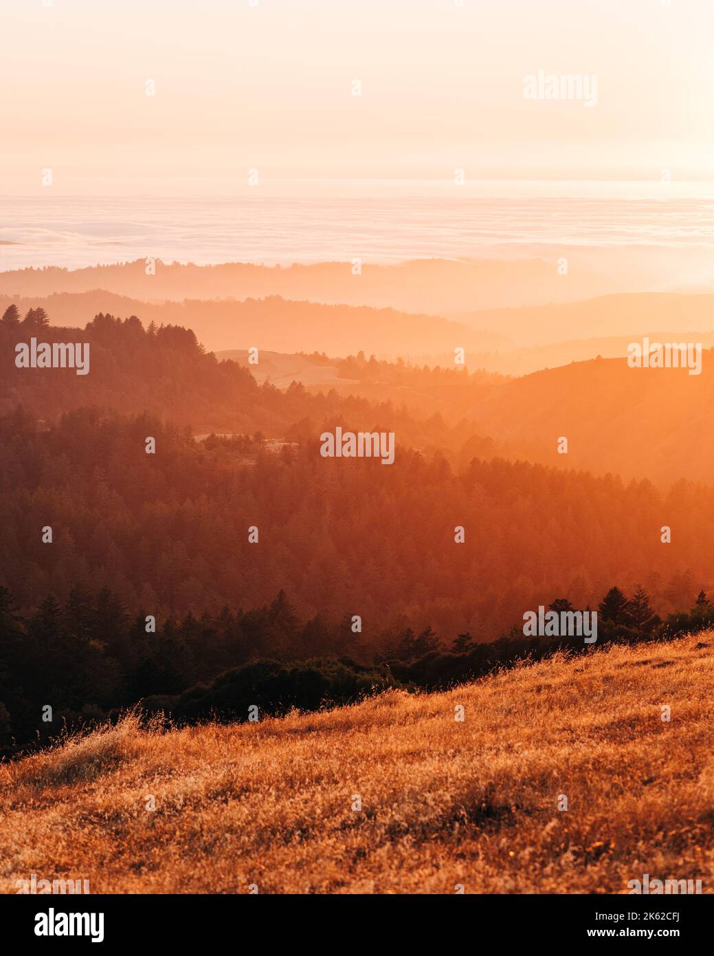 Santa cruz and mountains hi-res stock photography and images - Alamy