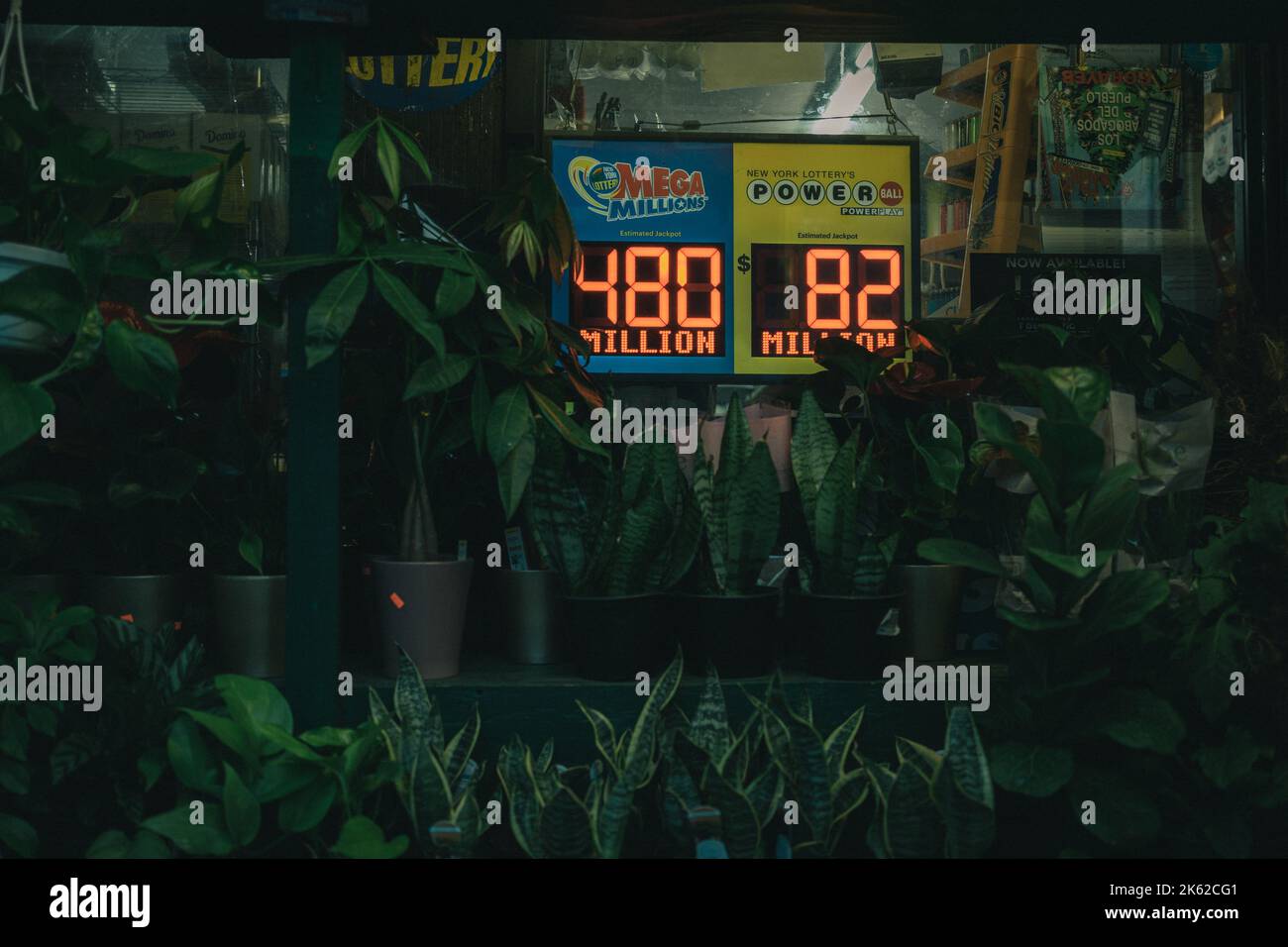 Lottery sign and plants, Park Slope, Brooklyn, New York Stock Photo - Alamy